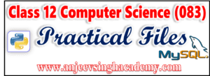 CBSE Class 11 and 12 Practical Files - Anjeev Singh Academy
